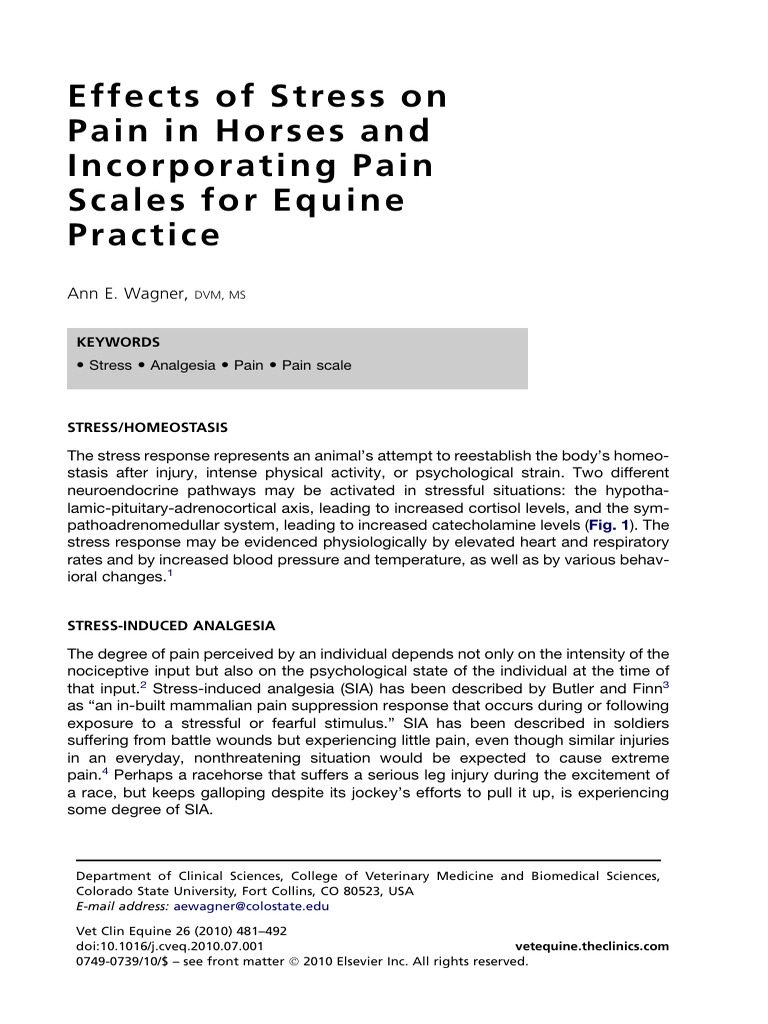 Effects of Stress On Pain in Horses and Incorporating Pain Scales For ...