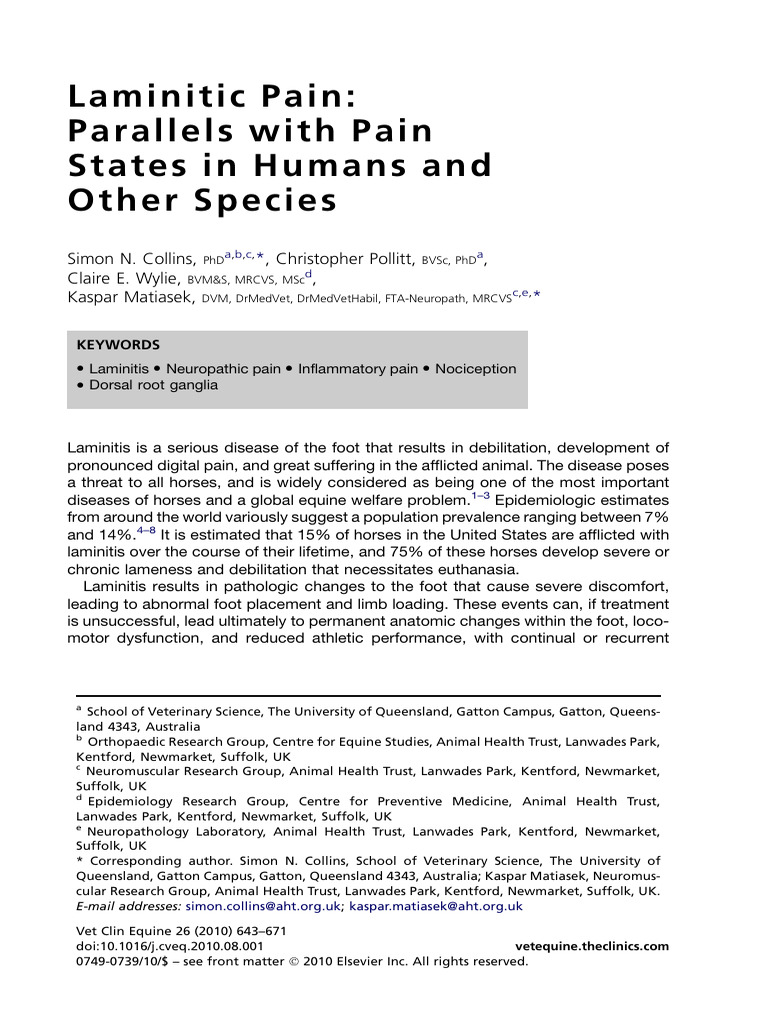 Laminitic Pain. Parallels With Pain States in Humans and Other Species ...