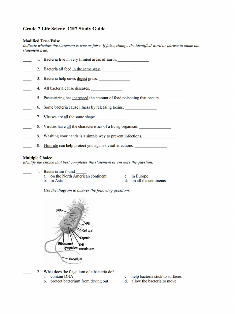 CH7 Study Guide_updated | PDF