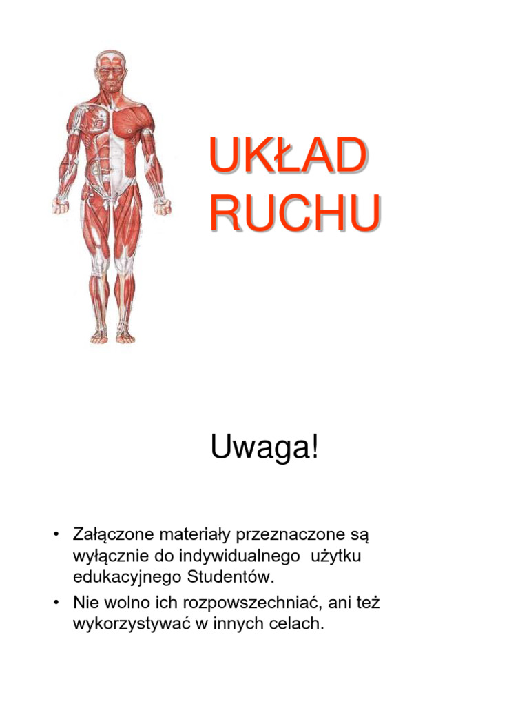 Wykład 06 Bpr 12 Uklad Ruchu | PDF