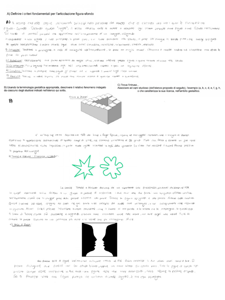 Gestalt Principles and Visual Illusions | PDF | Social Science