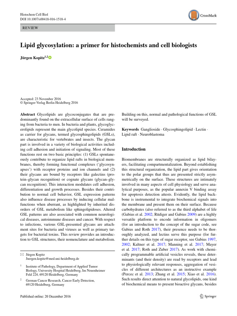 biosint de lip | PDF | Lipid | Cell Membrane
