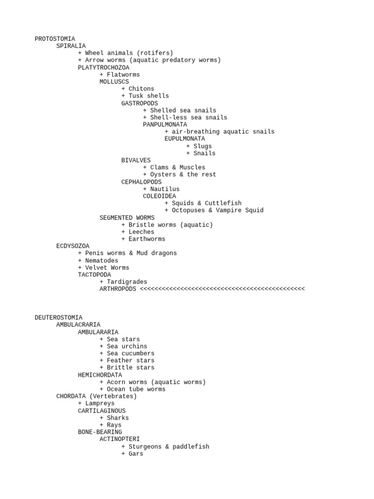 Taxonomy Notes Pdf Mollusca Taxa