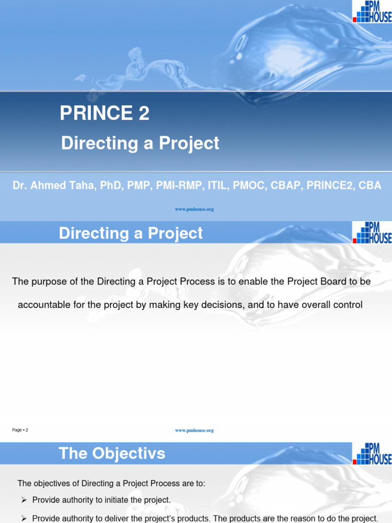 11-Directing A Project | PDF