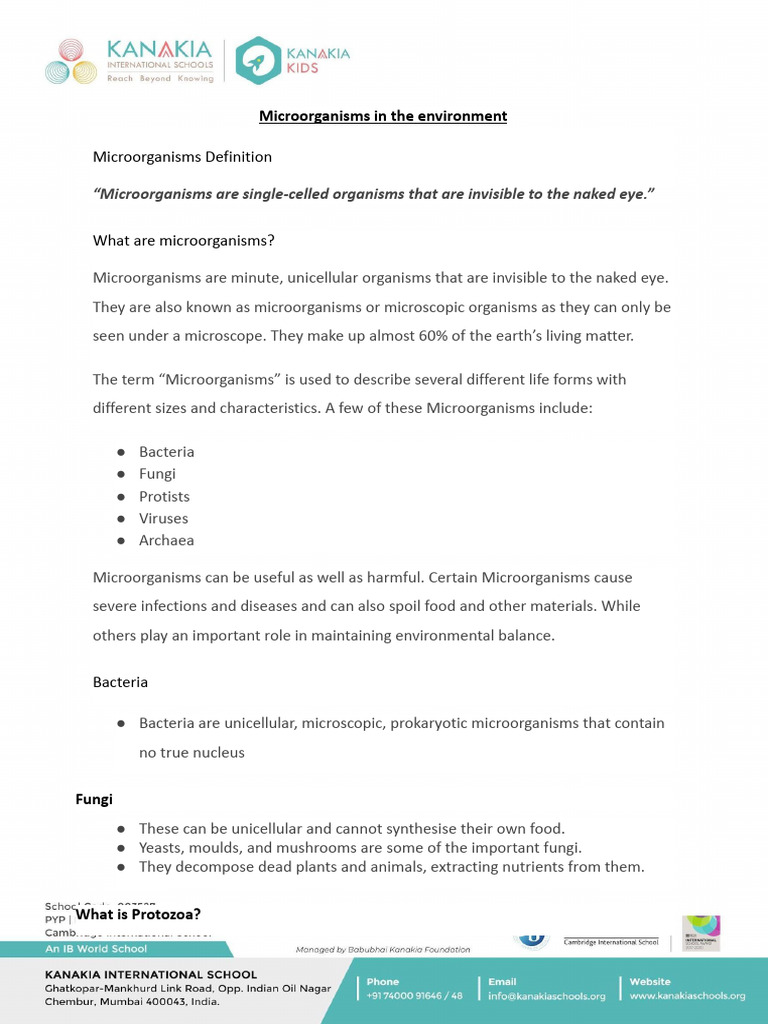 Science Notes Chapter 7 (Grade 6) | PDF | Microorganism | Food Web