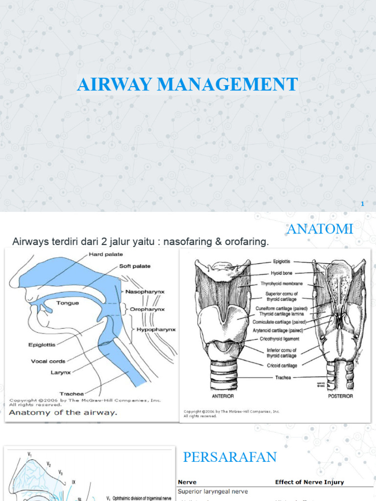 Airway Management Aang | PDF