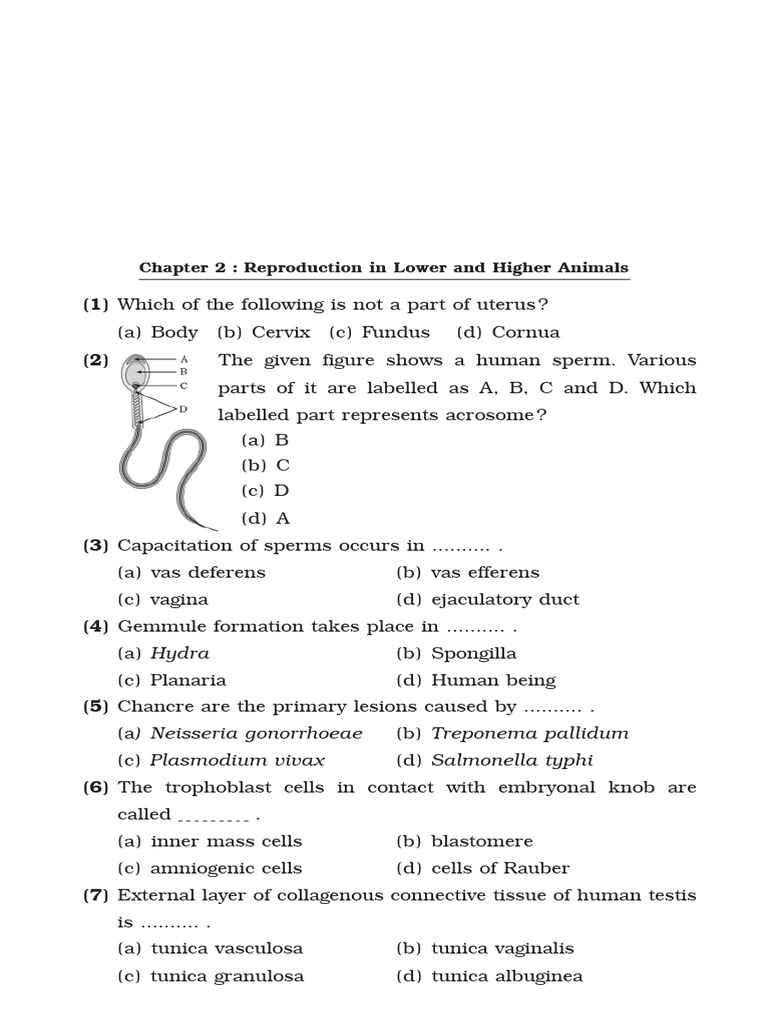 Reproduction in Lower and Higher Animals | PDF | Sexual Reproduction ...