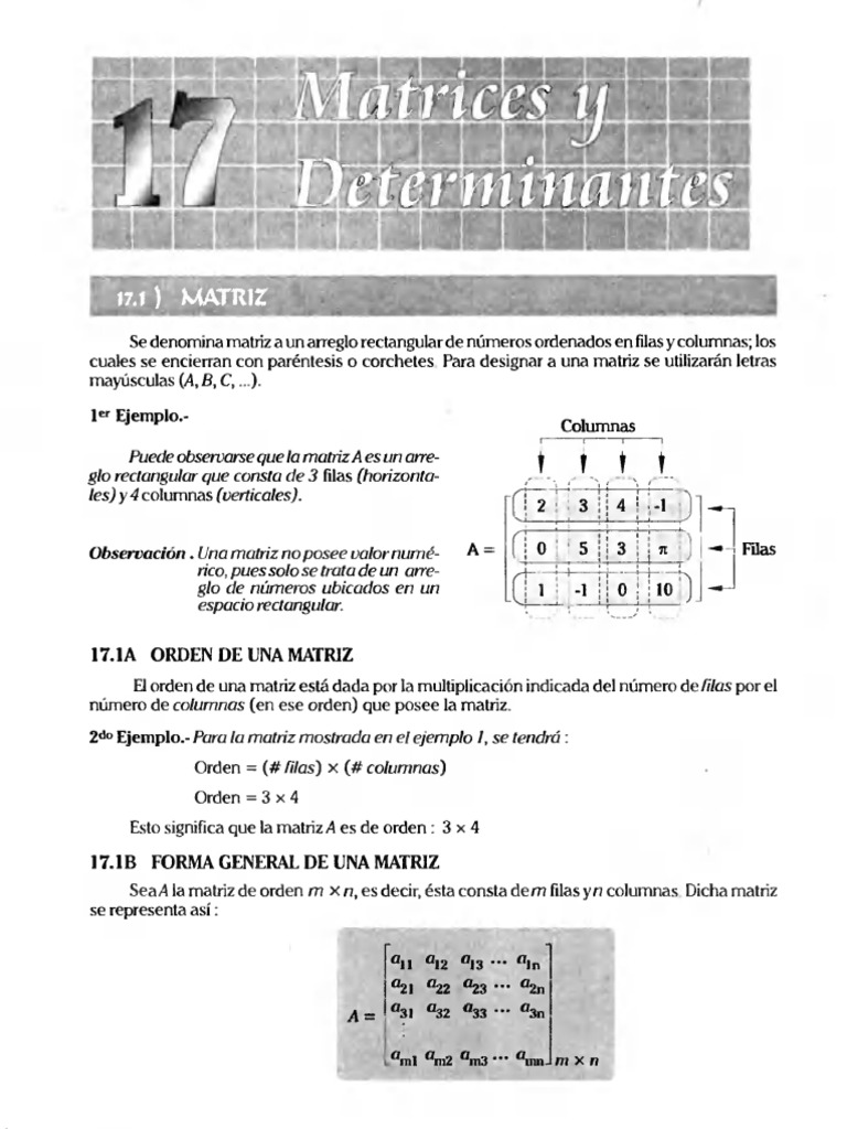 Matrices Teoria | PDF
