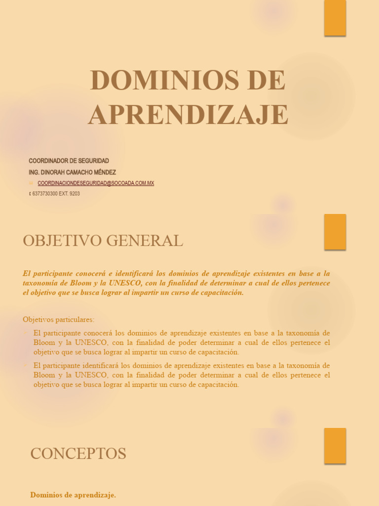 Dominios de Aprendizaje | PDF