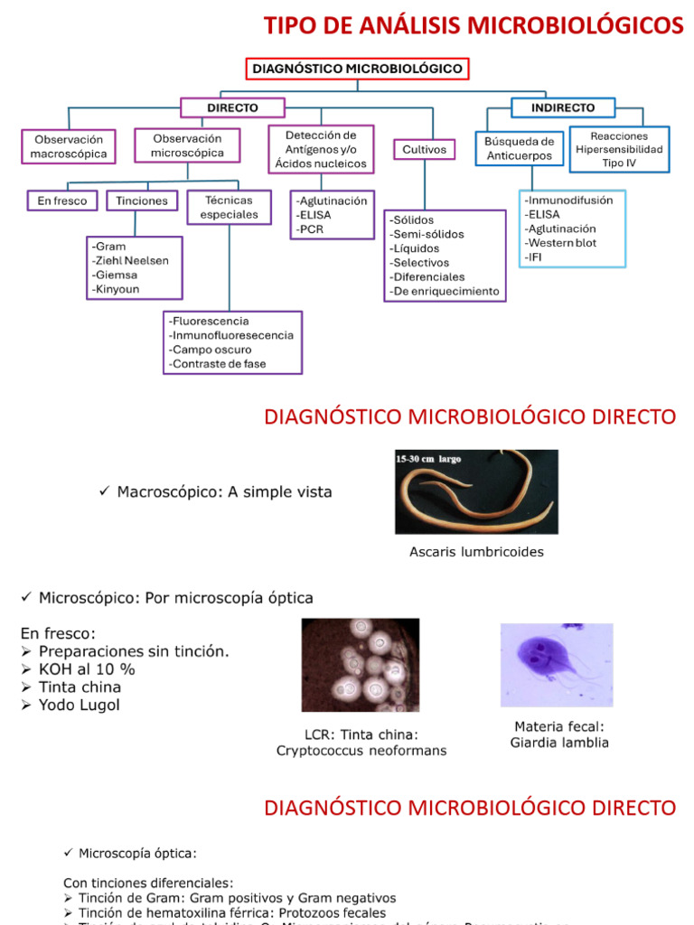 Tipos de análisis microbiologicos | PDF | Reacción en cadena de la ...