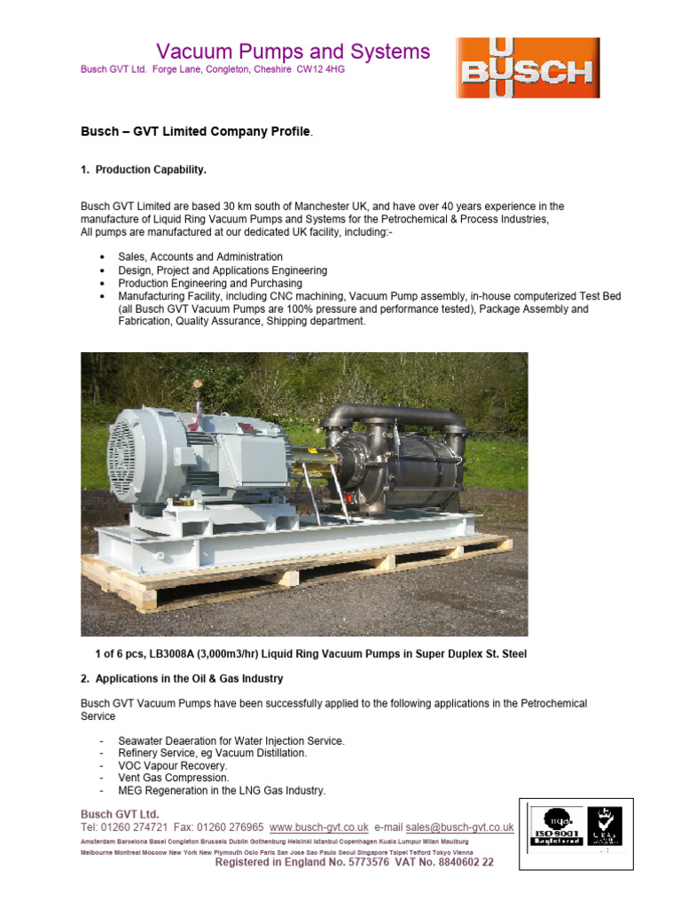 Busch GVT Oil & Gas Profile | PDF