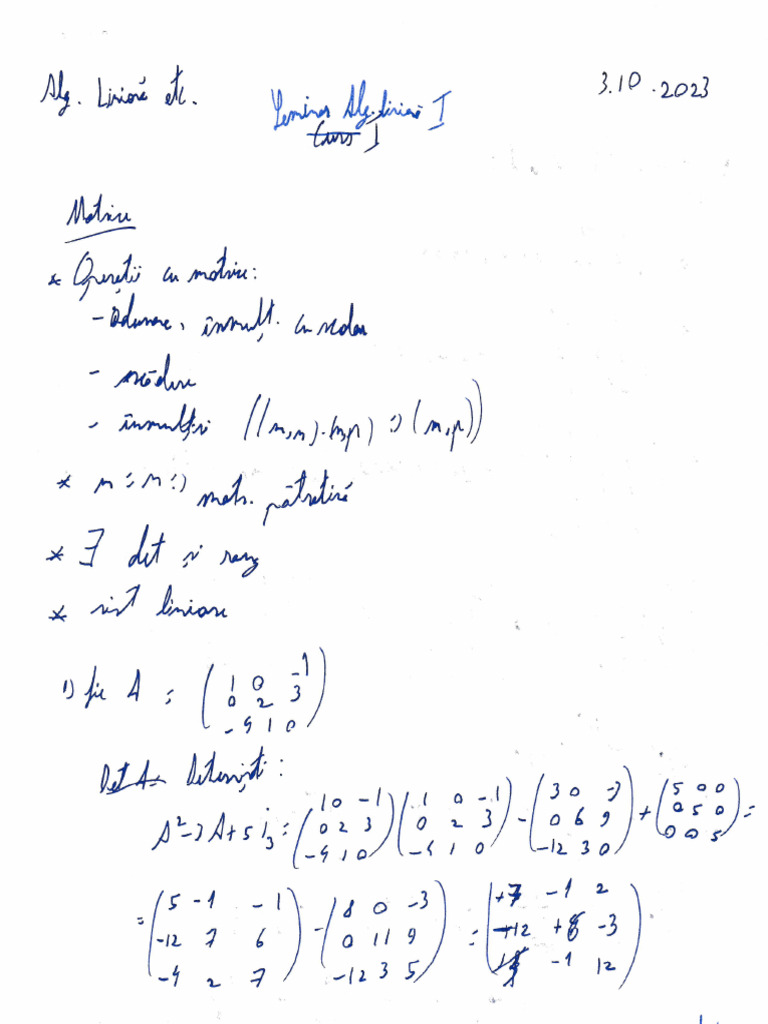 SCAN Lab 1, Matrice Exercitii | PDF