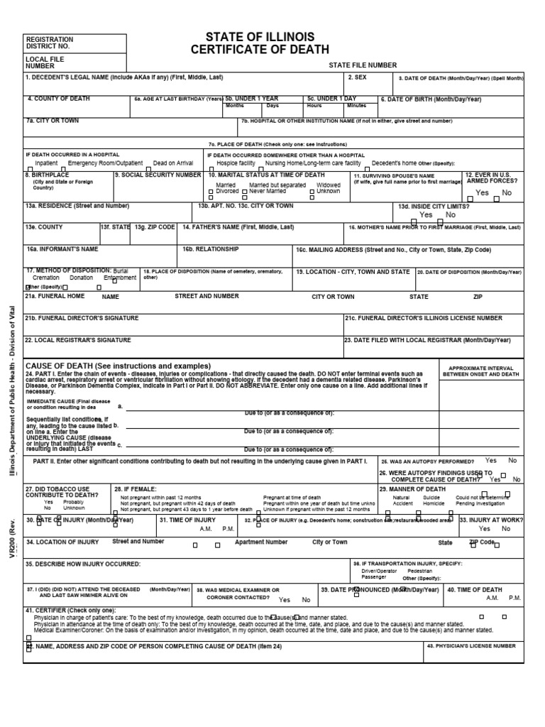 Illinois Death Certificate Template | PDF | Race And Ethnicity In The ...