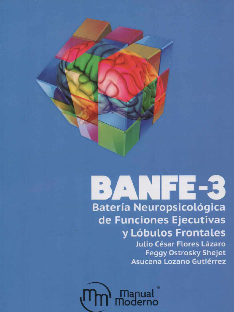 Manual Banfe 3 | PDF