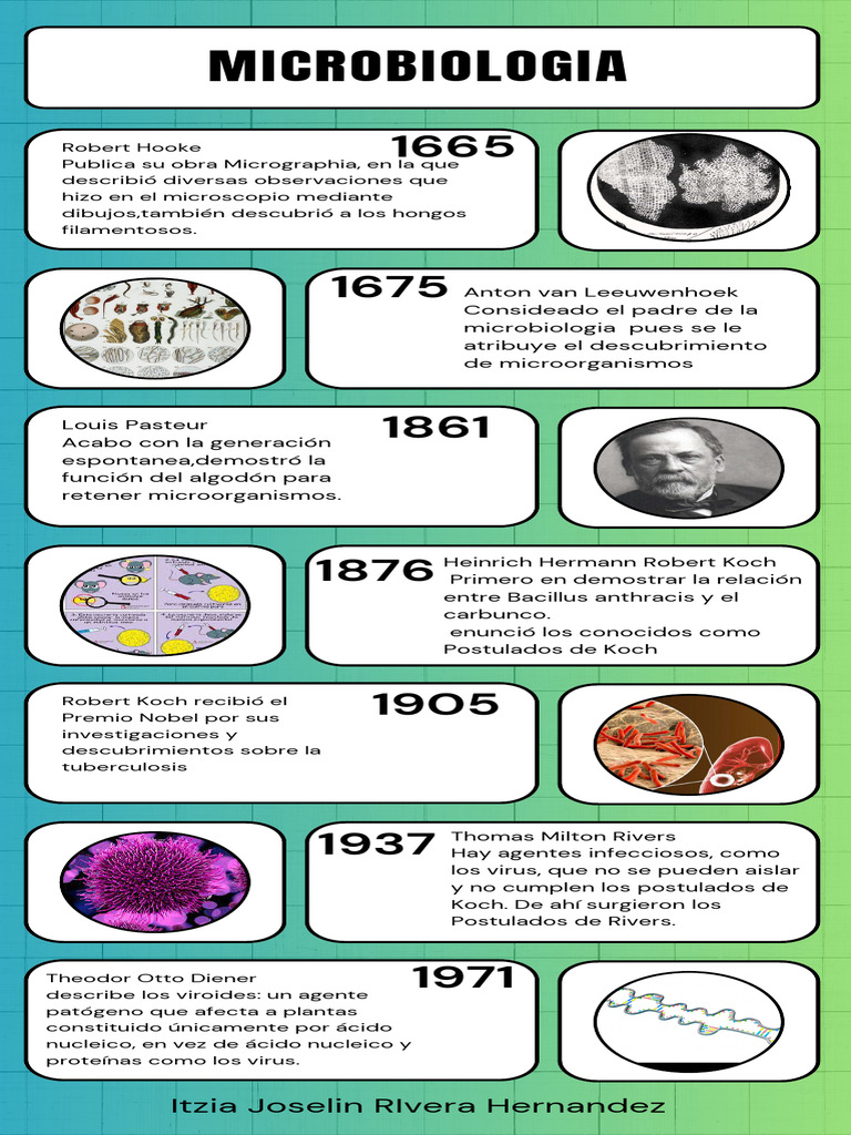 Yellow Modern History Timeline Infographic | PDF