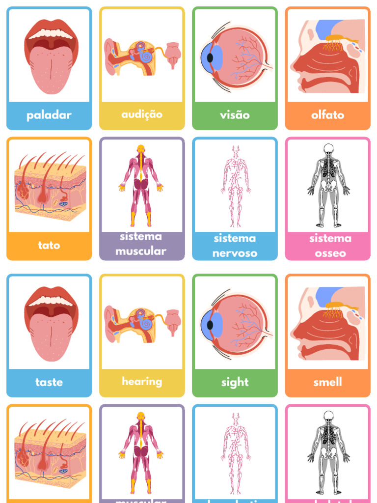 Sentidos Portugues e Ingles | PDF