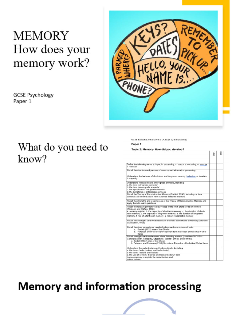 Memory Revision - Multistore Model | PDF | Memory | Long Term Memory