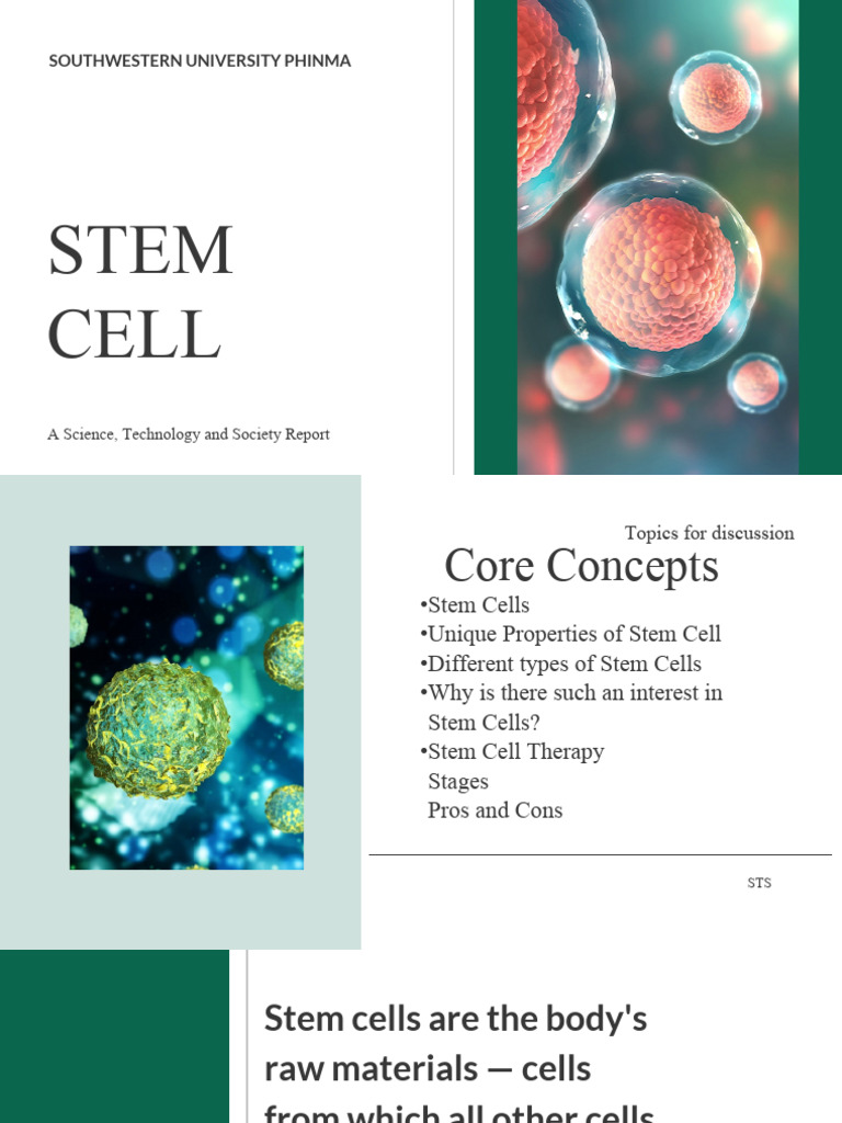 STEM | PDF | Stem Cell | Embryonic Stem Cell