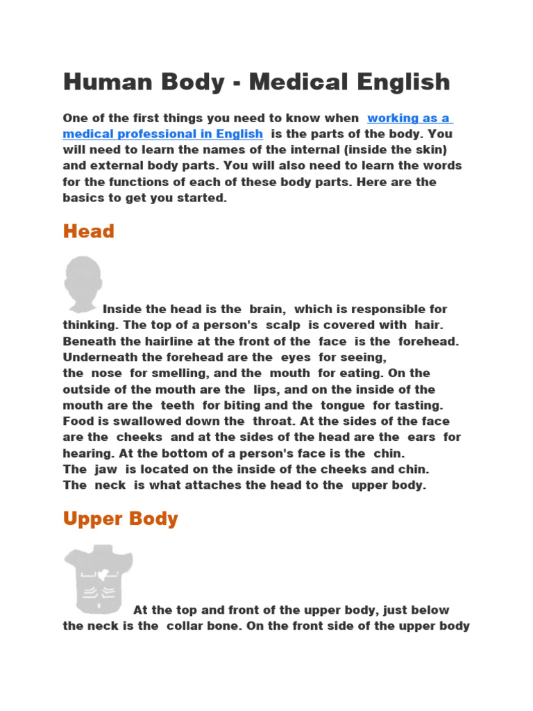 Human Body | PDF | Arm | Thorax