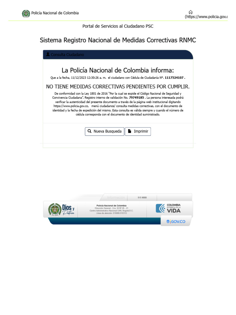 Consulta RNMC A | PDF