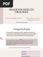 Pielotac y Urotac | PDF | Ct Scan | Imagenes medicas
