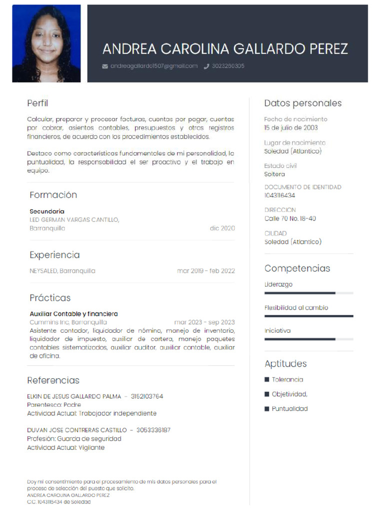 Hoja de Vida (Andrea Gallardo) | PDF