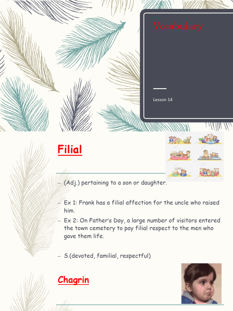 Vocabulary Lesson 2 | PDF | Language Arts & Discipline | Foreign Language Studies