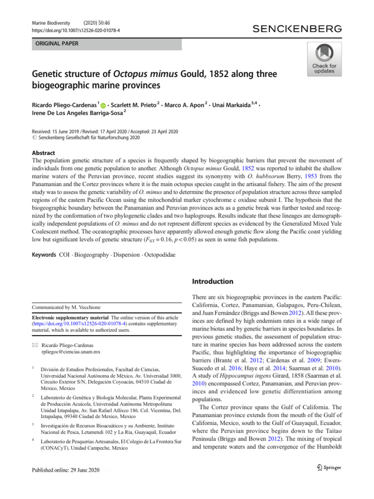 Genetic Structure of Octopus Mimus | PDF | Haplotype | Species