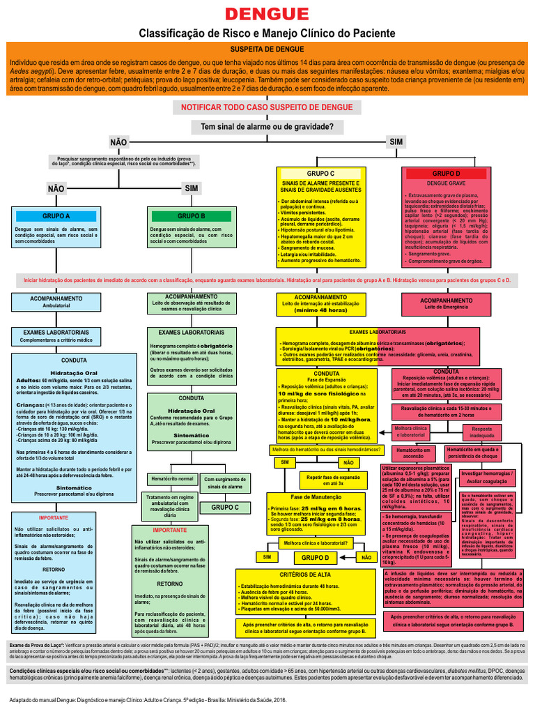 Fluxograma de Atendimento - Dengue (Atualizado 2024) | PDF
