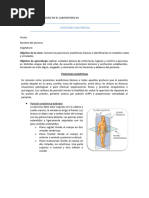 Posición de Sims | PDF | Ct Scan | Electromiografia