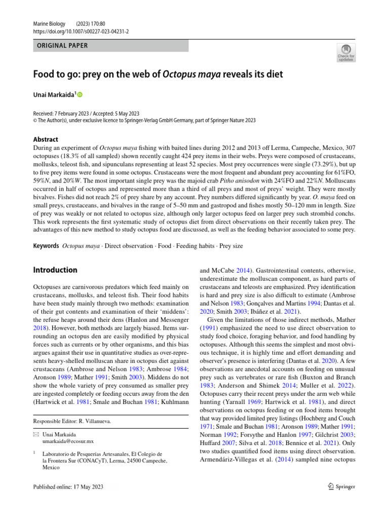 Markaida 2023 Food To Go Octopus Maya | PDF | Octopus | Predation