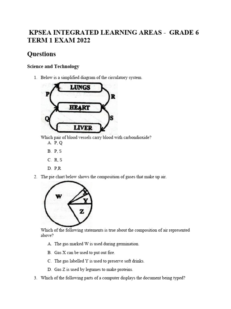 Grade 6 KPSEA Term 1 Exam 2022 | PDF