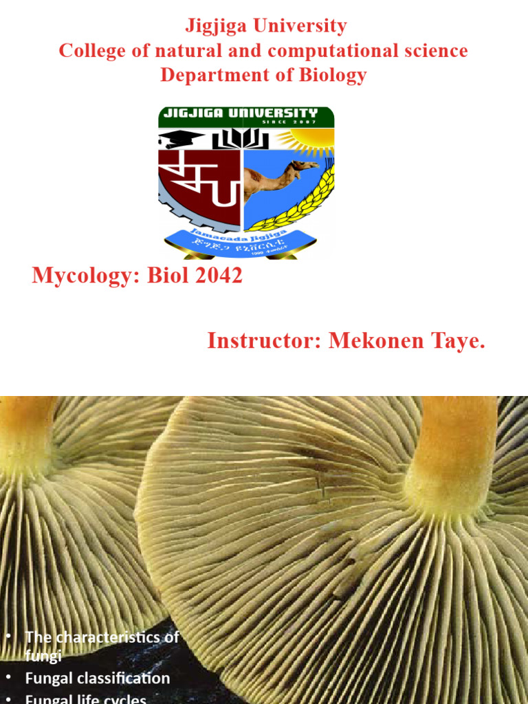 Mycology PPT | PDF
