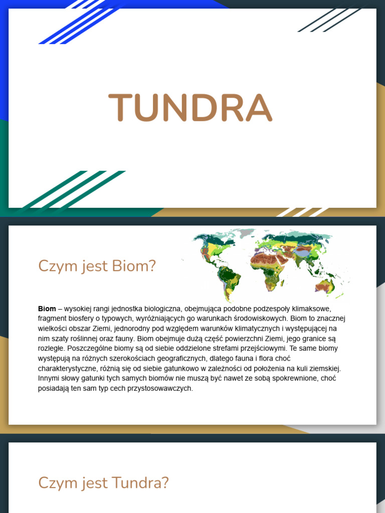 TUNDRA | PDF