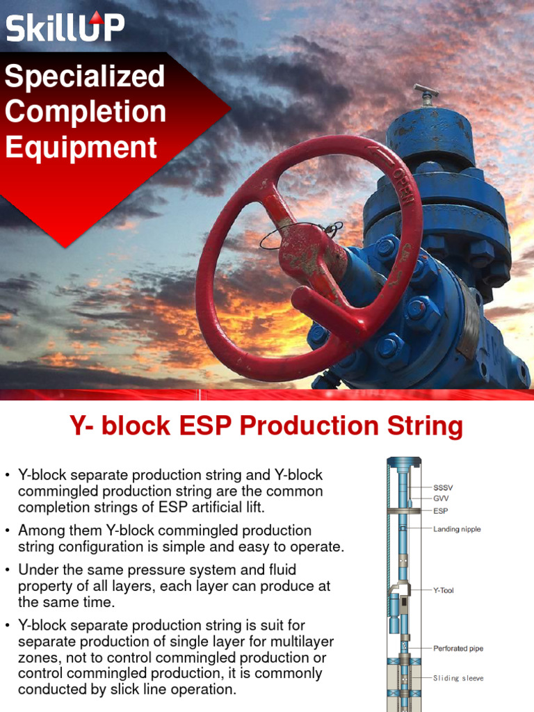ESP and Gas Lift Completion Strings | PDF | Gas Technologies ...