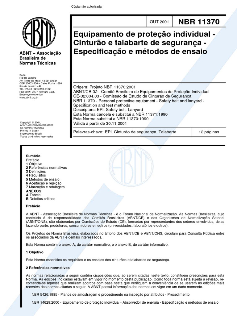 Abnt Iso NBR 11370 | PDF