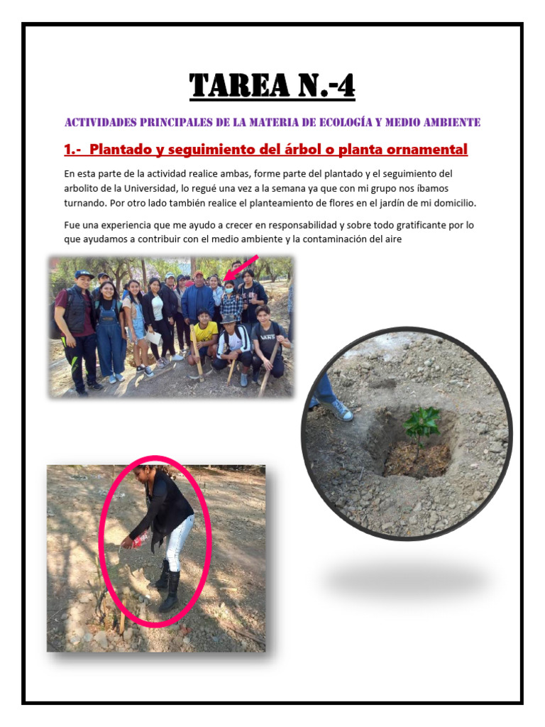TAREA N.-4 - Actividades Principales de La Materia de Ecologia y Medio Ambiente | PDF | Ciencias ...