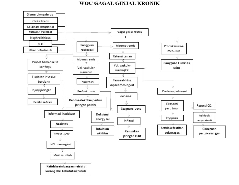 Woc Gagal Ginjal Kronik | PDF