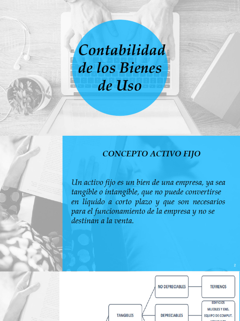 Tema 6 Contabilidad de Los Bienes de Uso | PDF