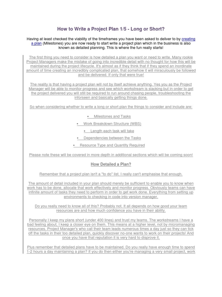 How To Write A Project Plan | PDF | Software | Computing And ...