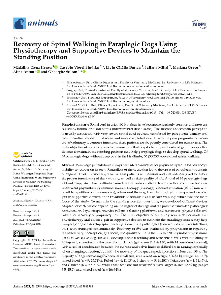 Recovery of Spinal Walking in Paraplegic Dogs Using | PDF