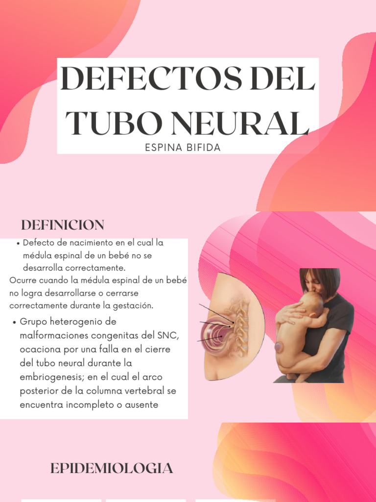 Defectos Del Tubo Neural Tohen | PDF | El embarazo | Neurociencia