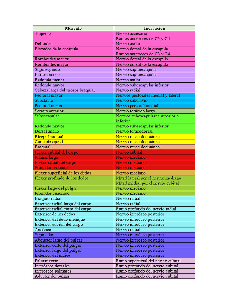 Inervaciones Anato | PDF