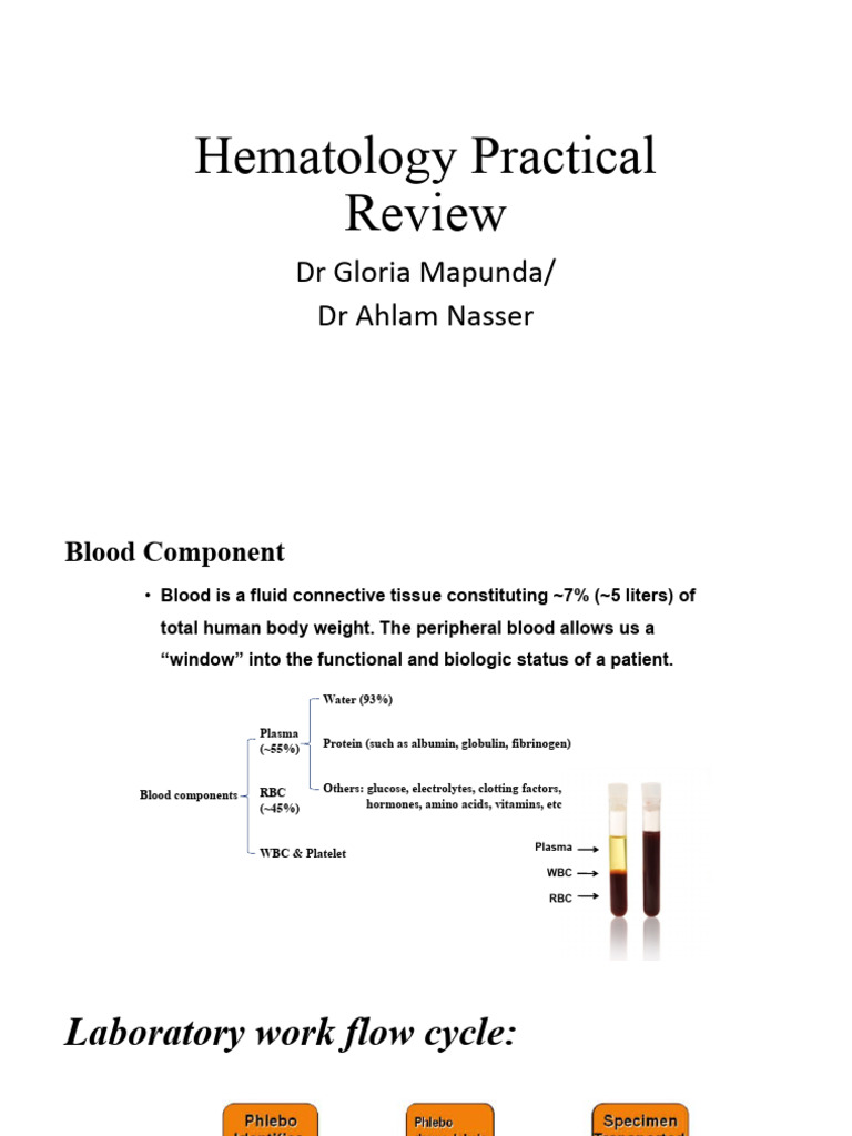 Practical Review Slides-1 | PDF