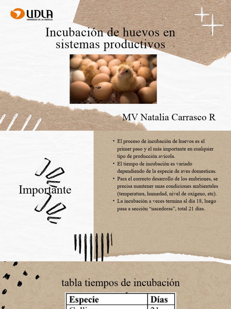 Incubación de Huevos en Sistemas Productivos | PDF | Unidad de cuidado ...