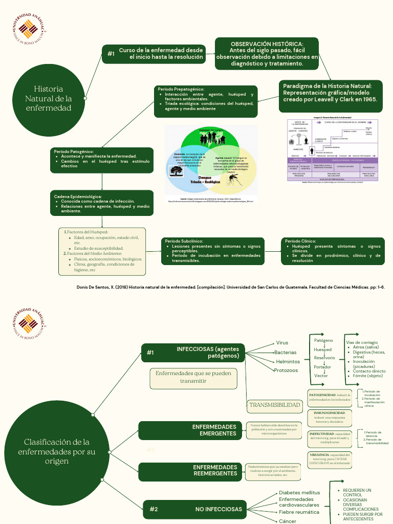 MelissaCatzinBarragan Act5 Semana7 PDF | PDF | Infección | Patógeno