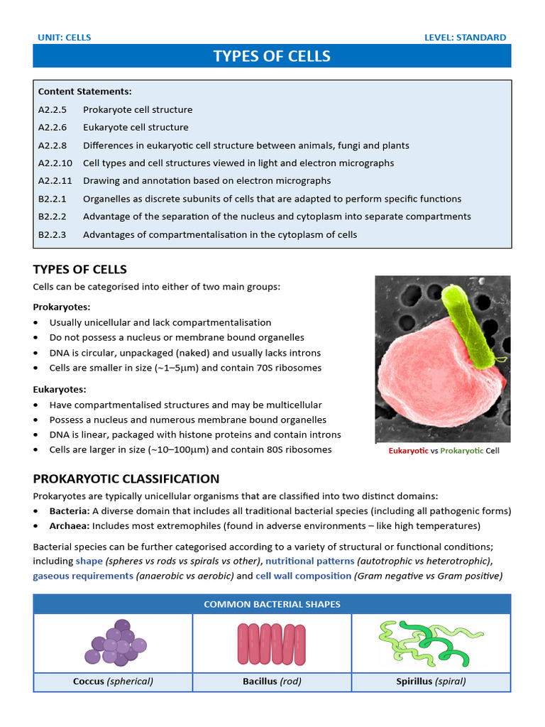 2.2 Types of Cells | PDF | Cell (Biology) | Prokaryote