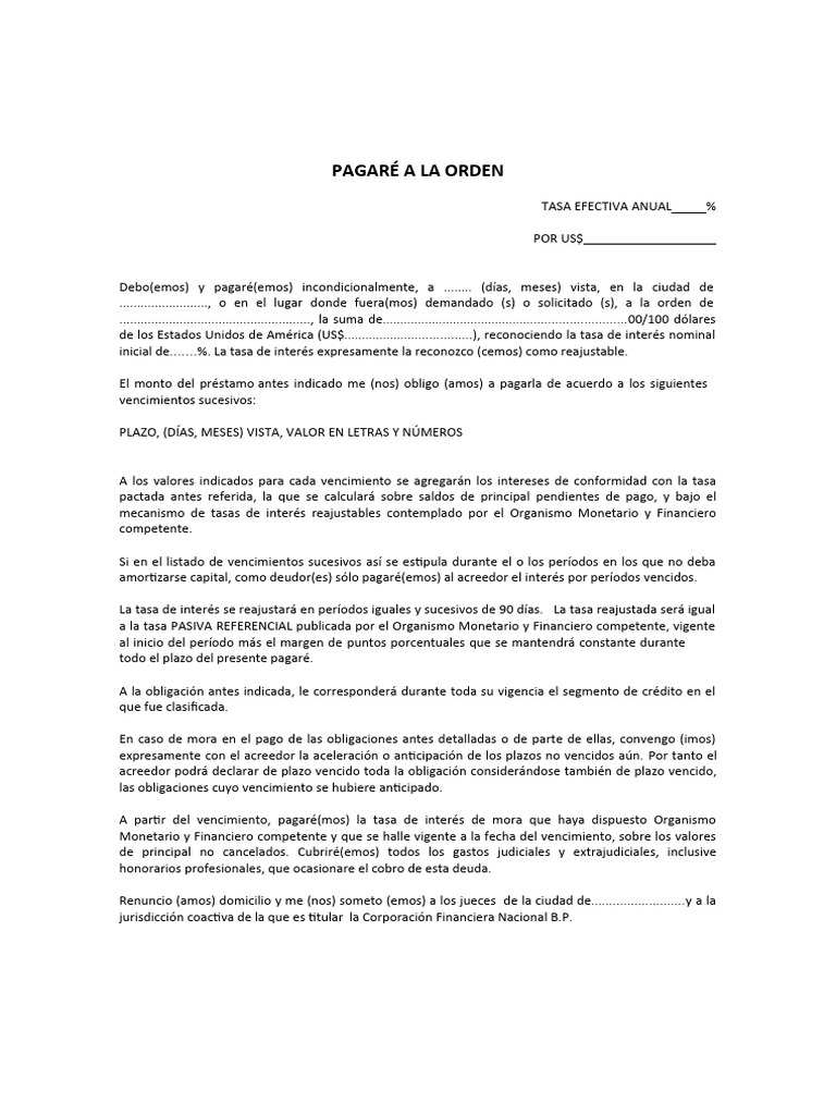 PAGARE A La Orden | PDF