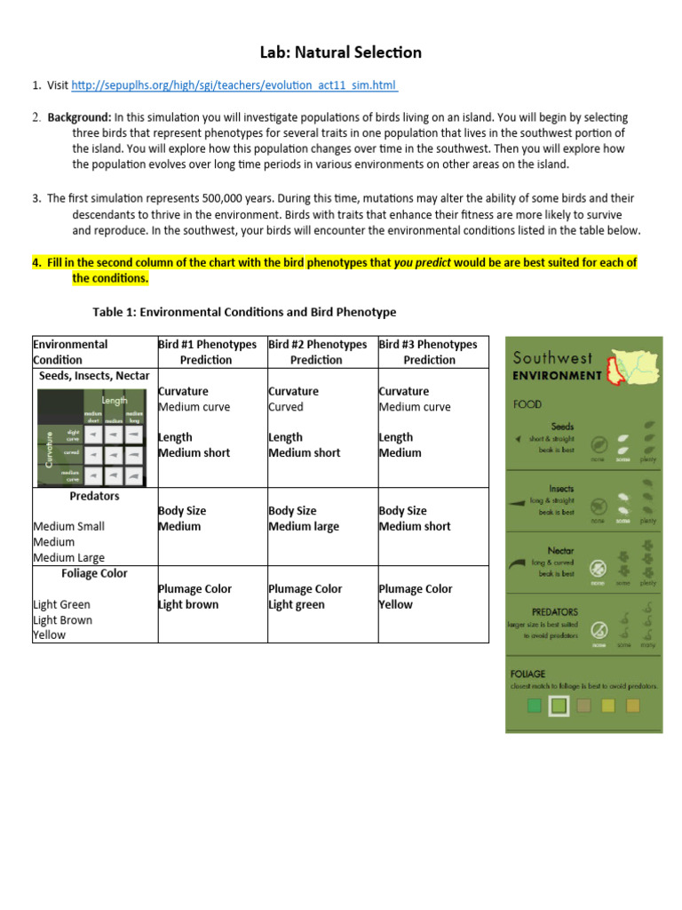 Natural Selection Virtual Lab REVISED copy | PDF | Natural Selection ...
