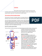 Human Circulatory System Overview | PDF | Circulatory System | Coronary ...